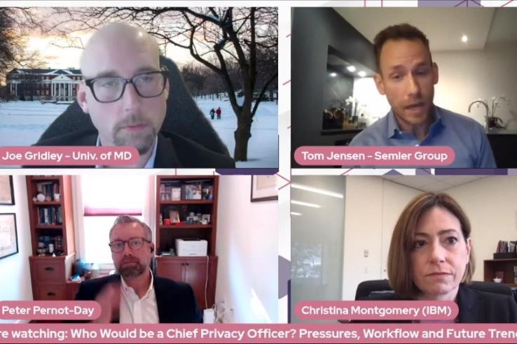 Who Would be a Chief Privacy Officer? Pressures, Workflow and Future ...
